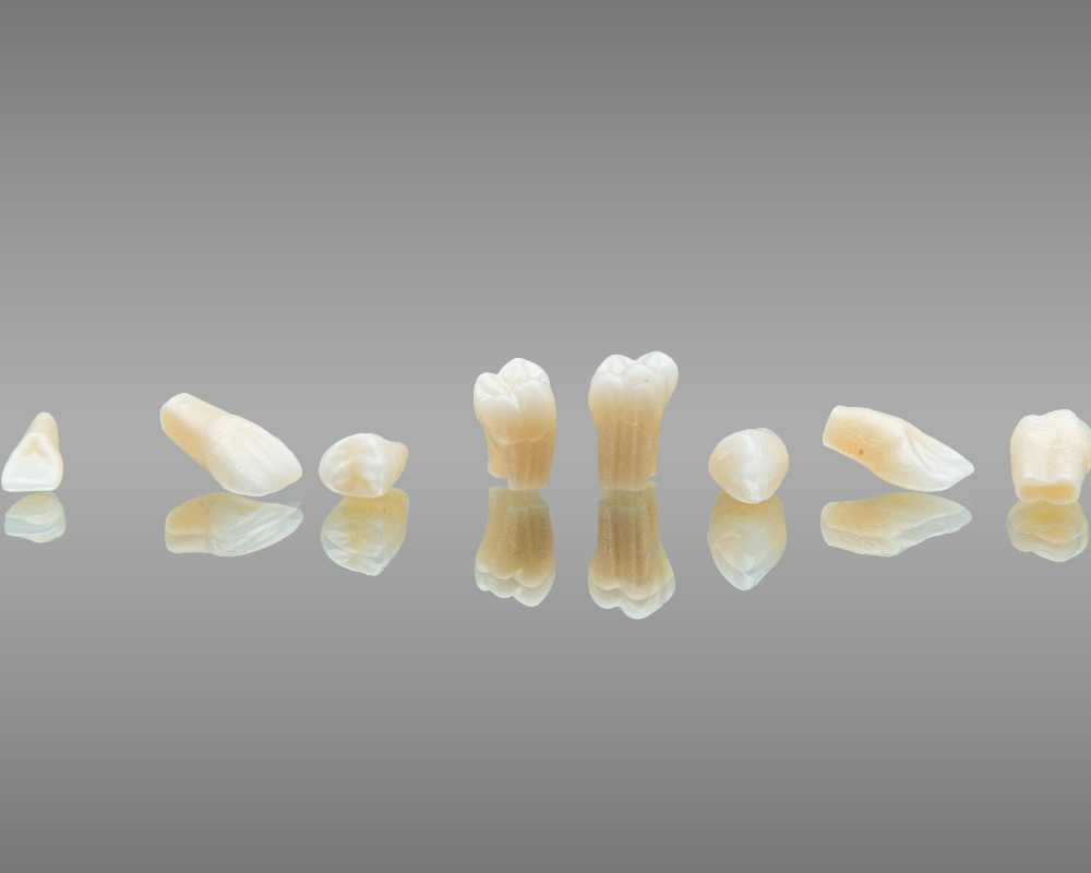 Dental Zirconia Implants: A Long-Lasting and Reliable Option - Topzir